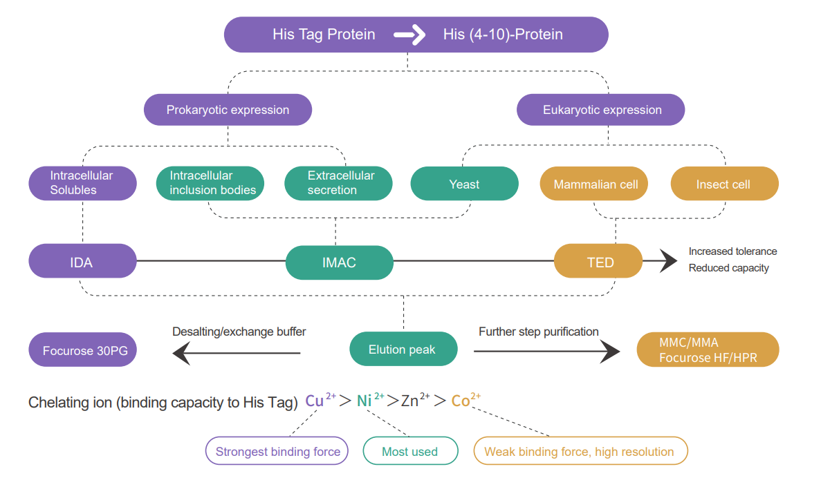 VDO Biotech | Affinity Media for His Tag Protein Purification