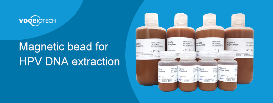 Magnetic bead for HPV DNA extraction